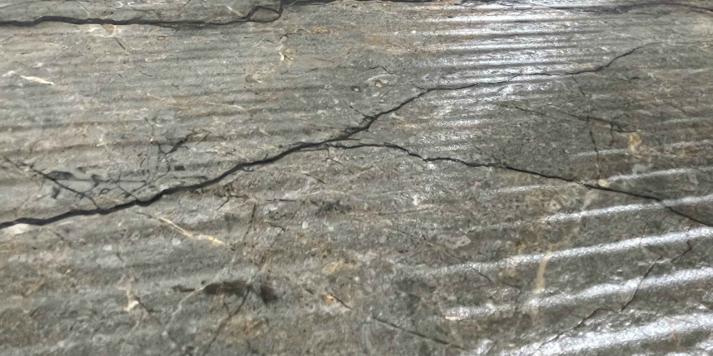 Rustic Punch Porcelain Tiles