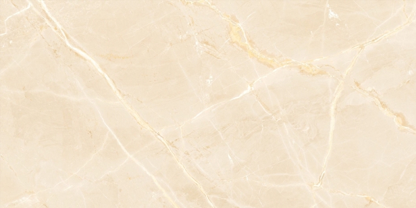 Polished 80x160cm - Porcelain Slab Tile