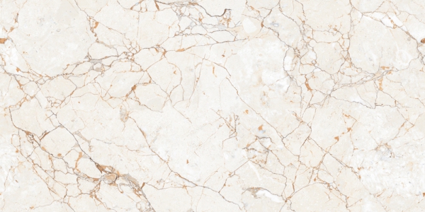 Endless Marble Porcelain Tile