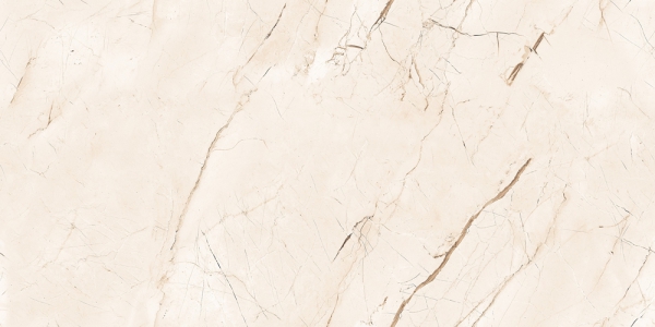 Endless Marble Porcelain Tile